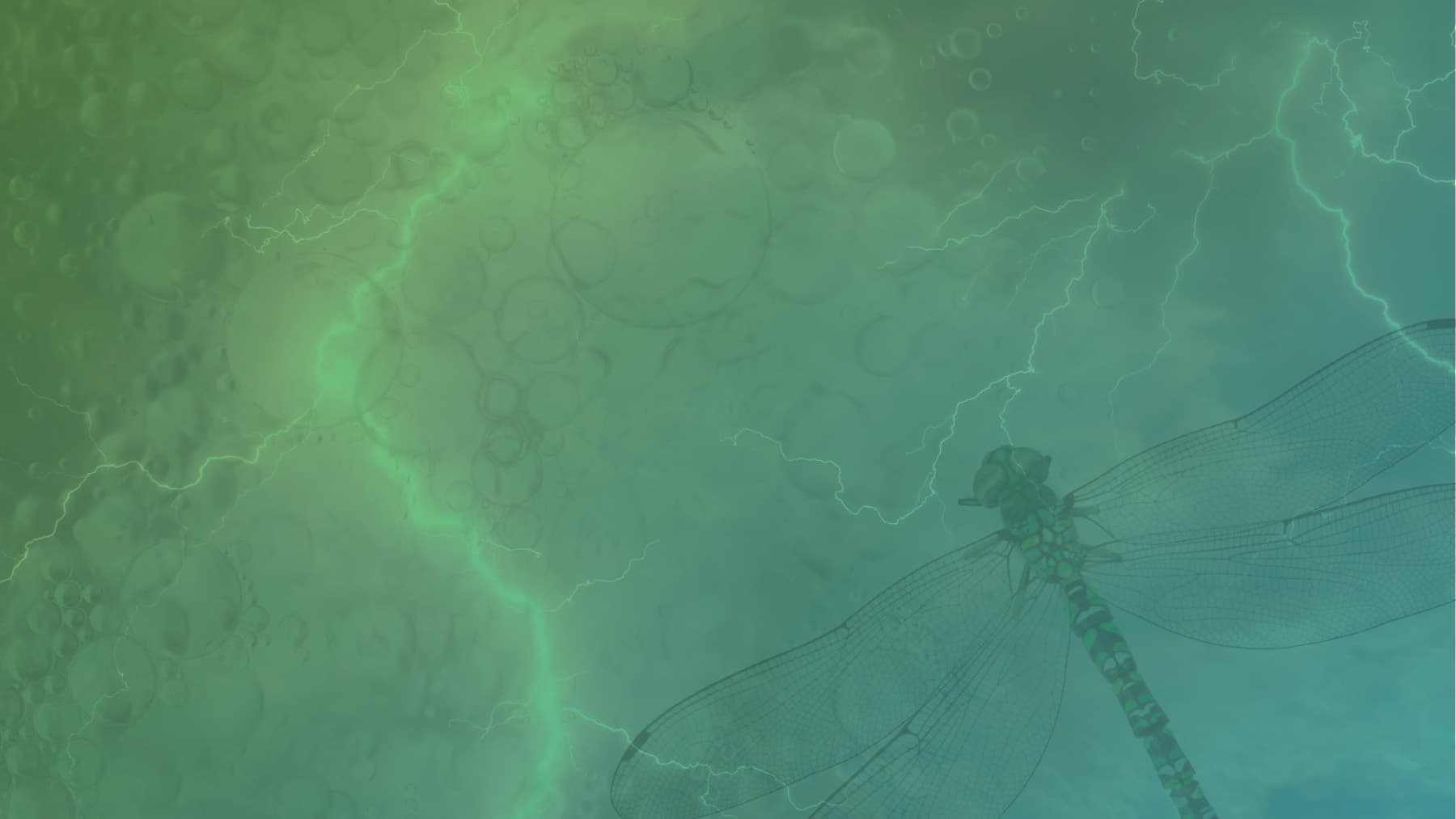 Dragonfly® System | De Nora